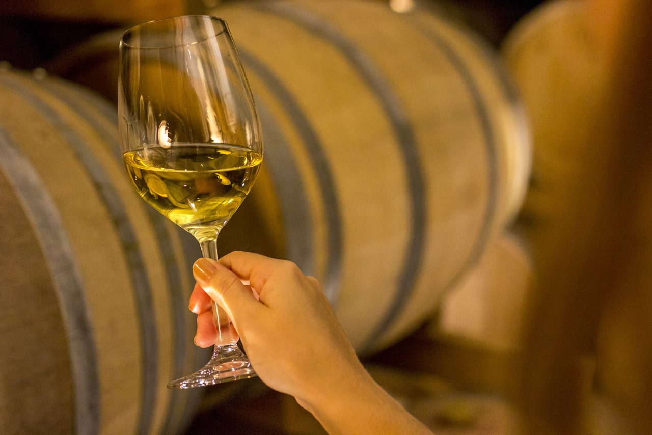 Wines Of Brasil Promove Vinho Brasileiro No Segundo Maior Mercado